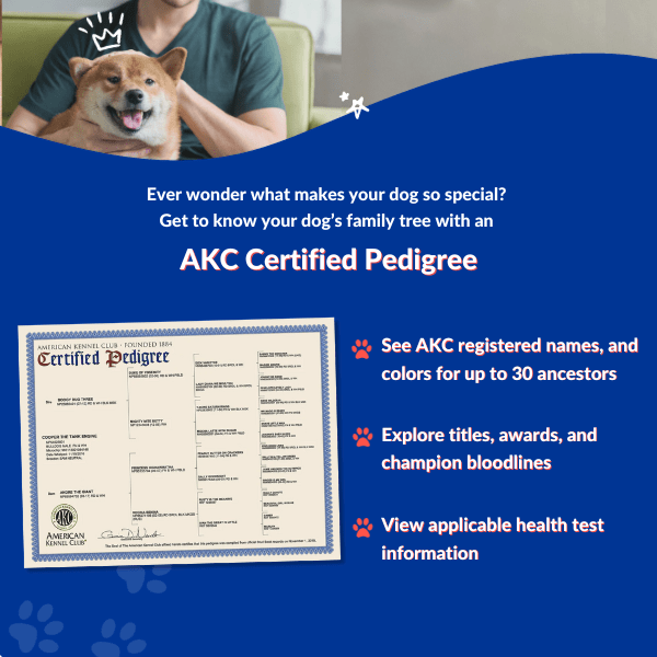 AKC Certified Pedigrees | AKC Shop