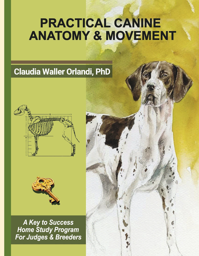Practical Canine Anatomy & Movement | AKC Shop