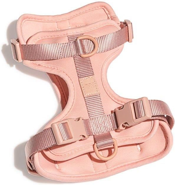 Wild One Adjustable Cushioned Dog Harness | AKC Shop