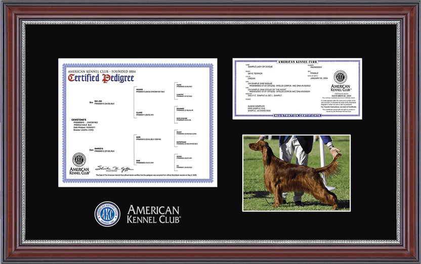 American Kennel Club Masterpiece Pedigree, Registration, & 5" x 7" Pho ...
