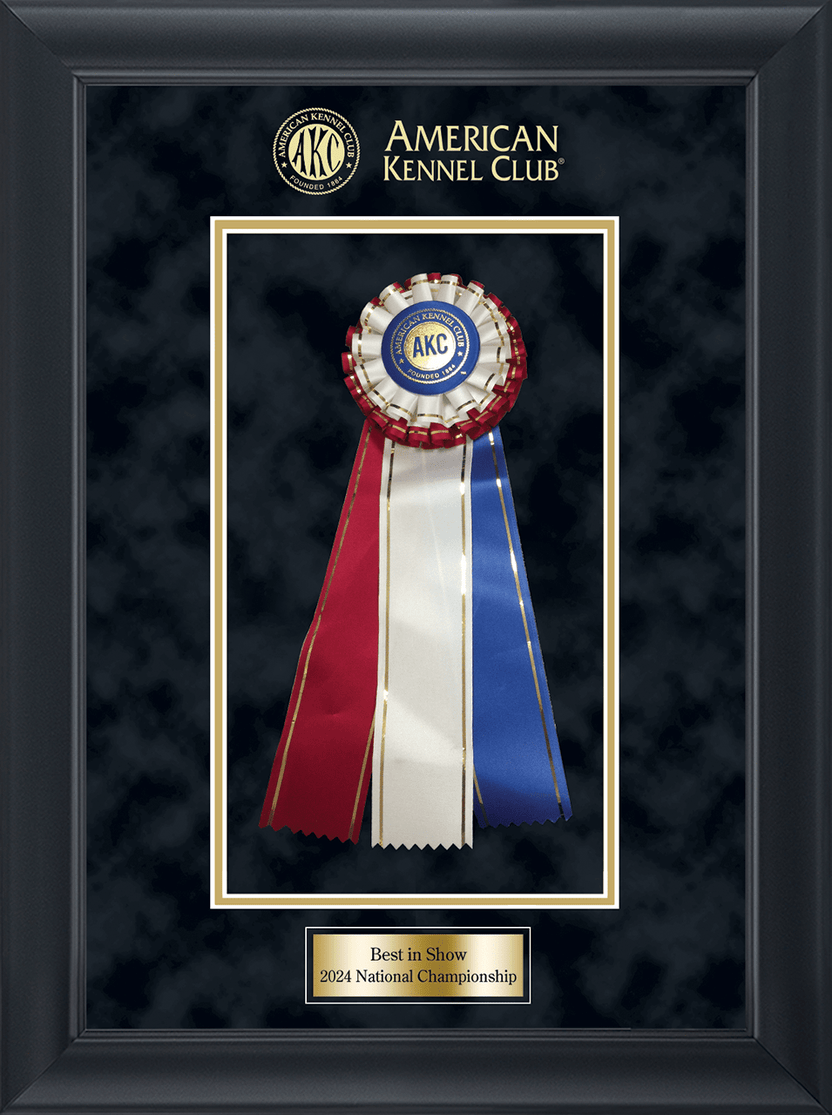 American Kennel Club AKC Rosette Award Shadow Box Frame | AKC Shop