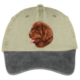 Newfoundland Embroidered Two Tone Baseball Cap | AKC Shop