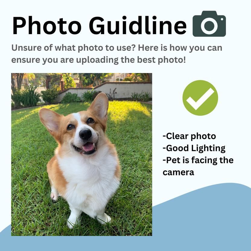 Customized Hand-Painted Dog Breed White Denim Jacket | AKC Shop