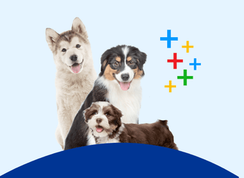 AKC DNA + Health Kit | AKC Shop