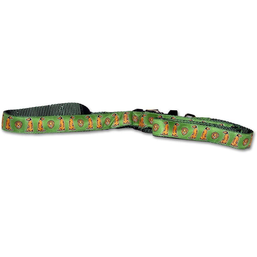 Rhodesian Ridgeback Collar and Leash Set | AKC Shop