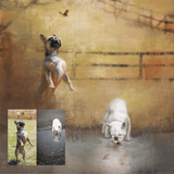 Hand-Painted Pet Portrait | AKC Shop