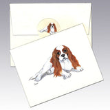 Cavalier King Charles Spaniel, Blenheim Note Cards | AKC Shop