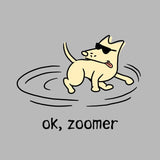 Ok, Zoomer - Lightweight Tee | AKC Shop